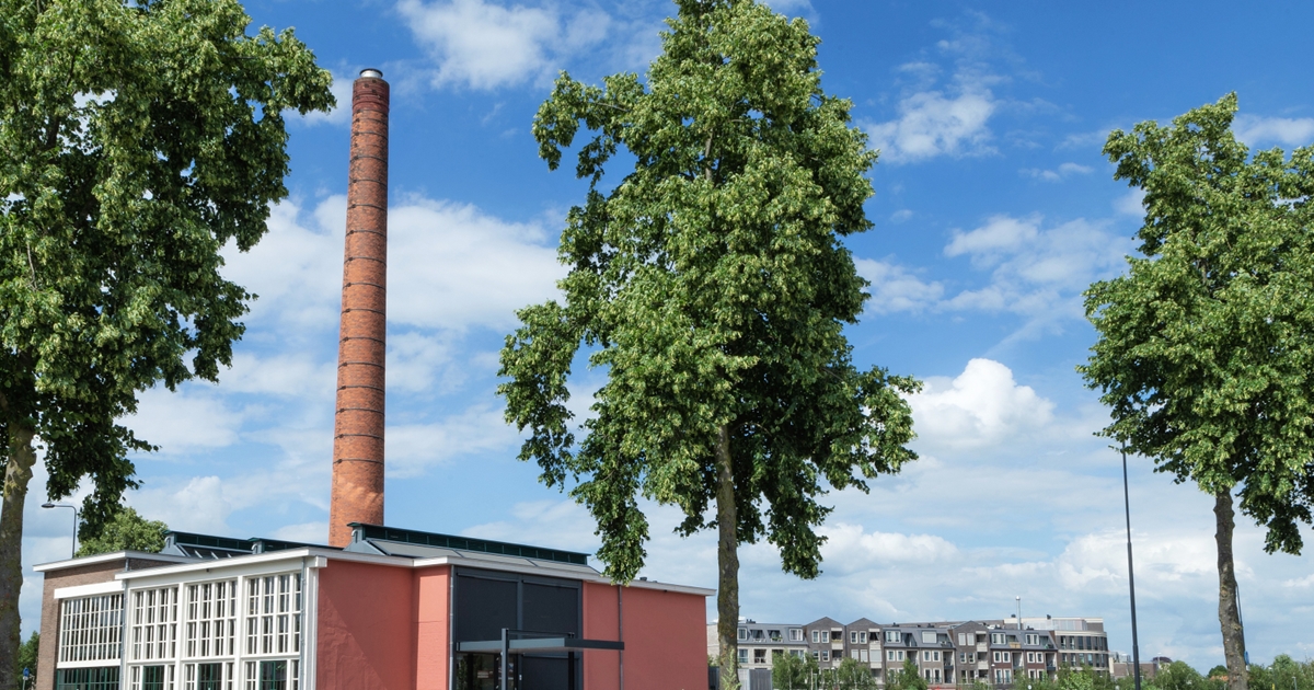 Praca wakacyjna - Fides