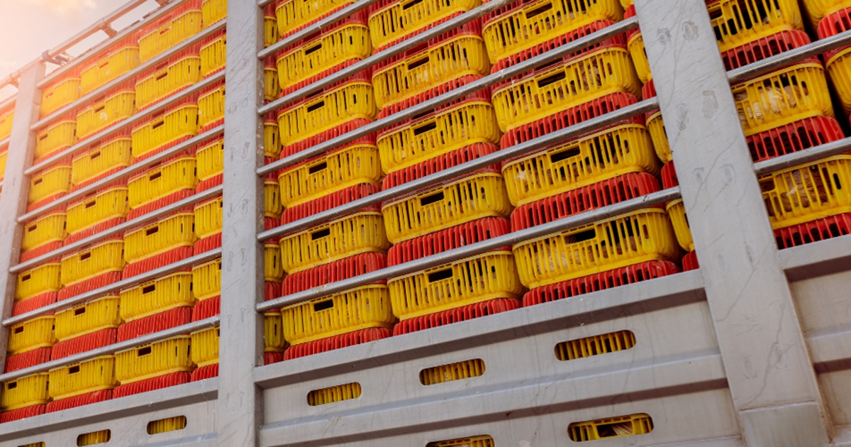 Pracownik Aanvoer - Praca w Holandii - Aktualne oferty pracy, od zaraz ...